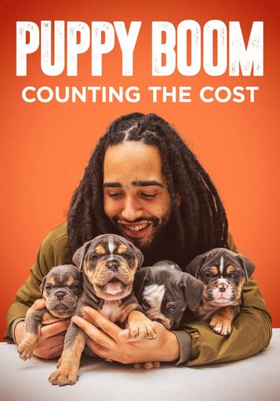 Watch Puppy Boom: Counting the Cost (2021) - Free Movies | Tubi