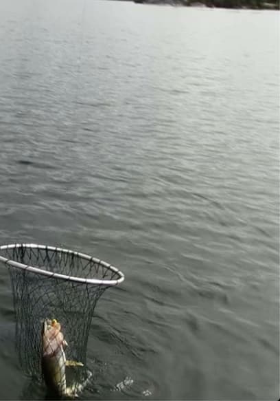 Watch Max-Limit Fishing S03:E05 - Namushla Walleye - Free TV Shows | Tubi