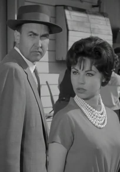 Watch Perry Mason S04:E20 - The Case of the Barefaced Witness - Free TV ...