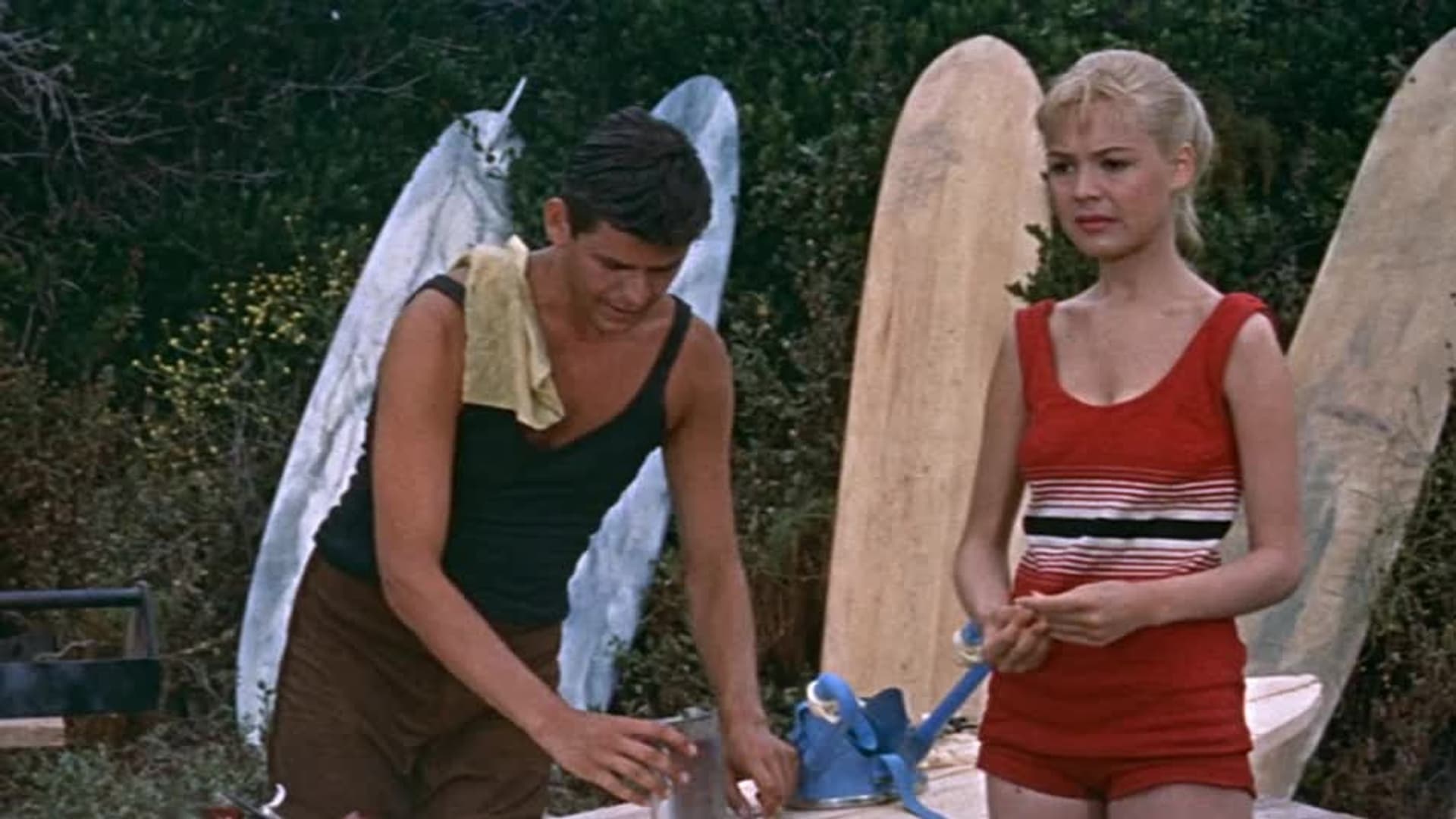 Watch Gidget (1959) (1959) - Free Movies | Tubi