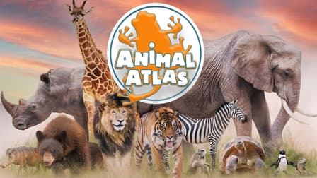 Watch Animal Atlas Season 4 - Free TV Shows | Tubi