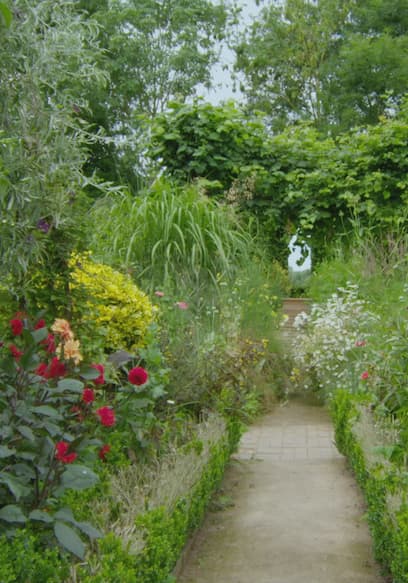Watch Gardeners' World S07:E15 - Episode 15 - Free TV Shows | Tubi