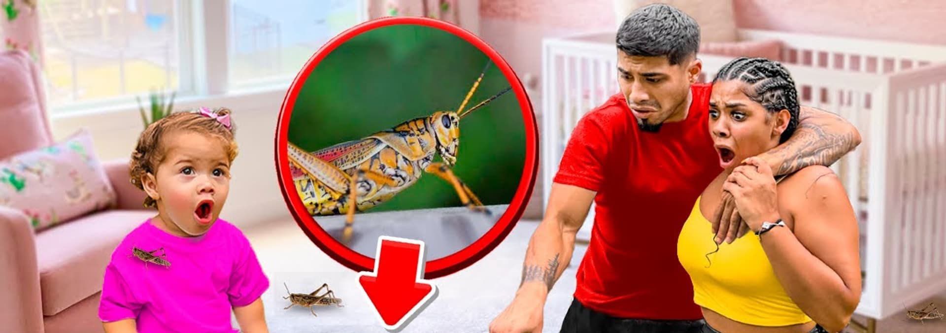 Watch The Trench Family S09:E16 - Room Full of Bugs - Free TV Shows | Tubi