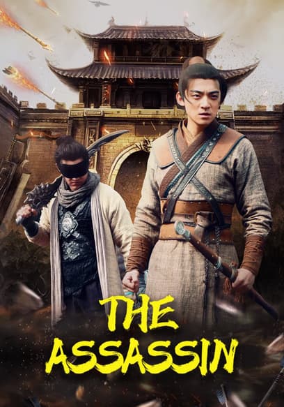 Watch The Assassin (2018) - Free Movies | Tubi