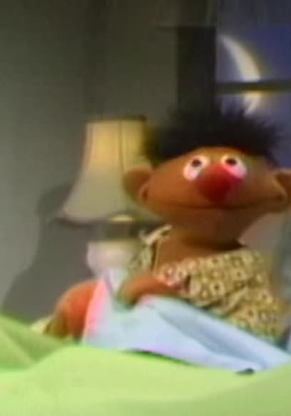 Watch Sesame Street S03:E01 - Big Bird Meets Mr. Snuffleupagus - Free ...