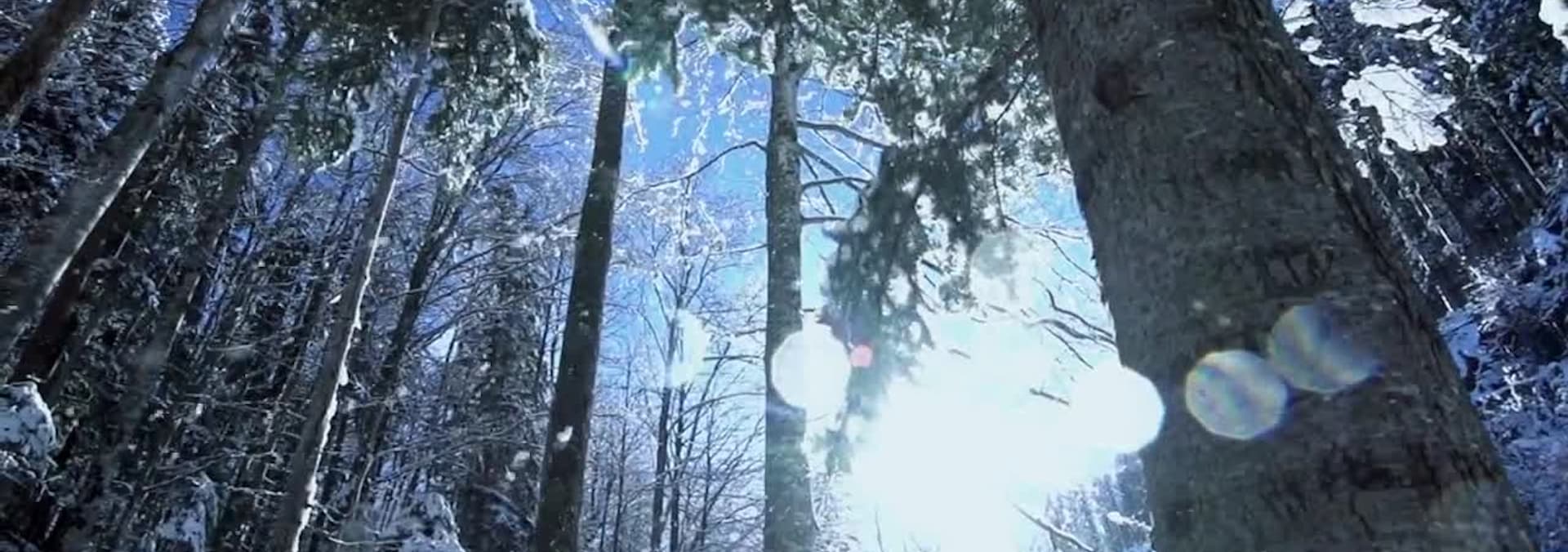 Watch Christmas Yule Log Fireplace S02:E07 - White Christmas & Holiday ...