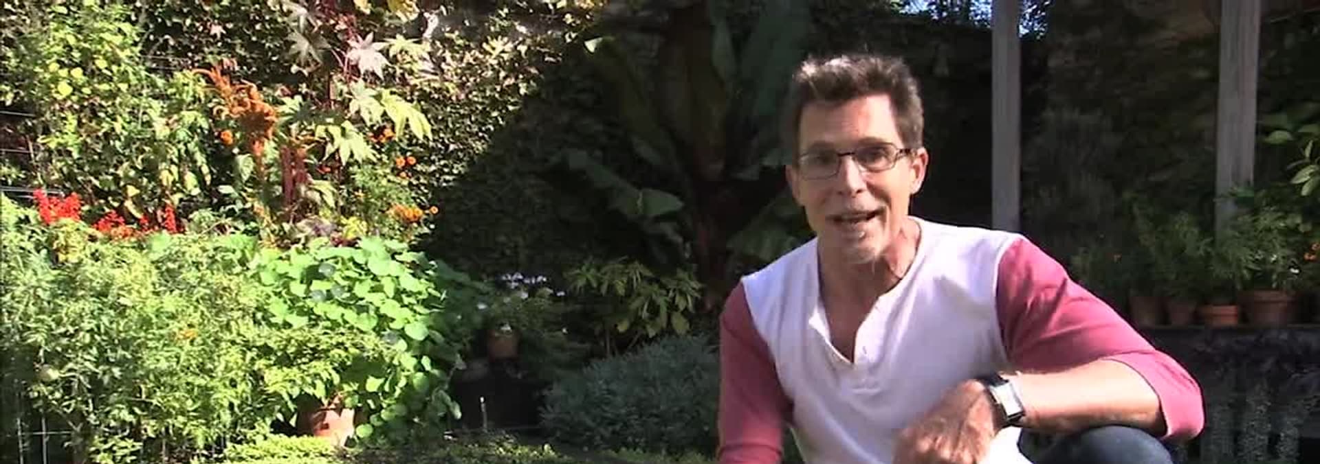 Watch Mexico One Plate at a Time With Rick Bayless S07:E13 - Liquid ...