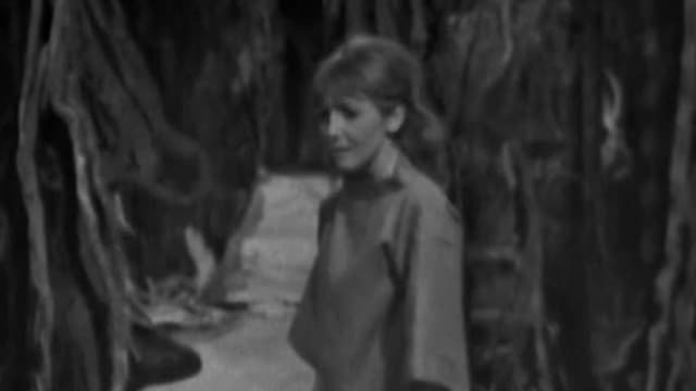 Watch Classic Doctor Who: The First Doctor S02:E23 - The Space Museum ...