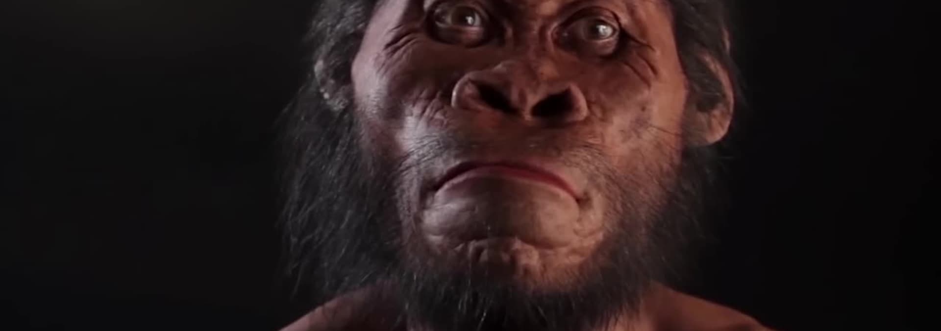 Watch Early Humans S02:E05 - Homo Naledi: The Star Man - Free TV Shows ...