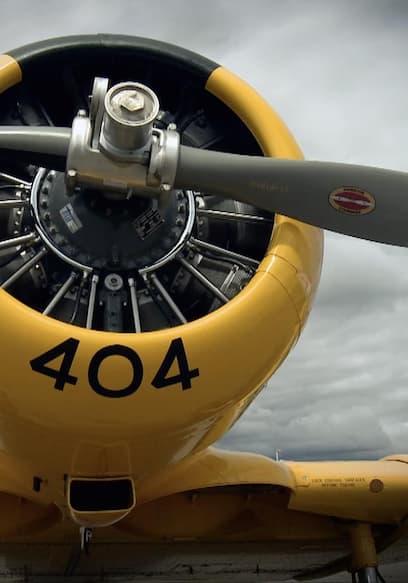 Watch The Aviators S02:E01 - Aviation 101 - Free TV Shows | Tubi