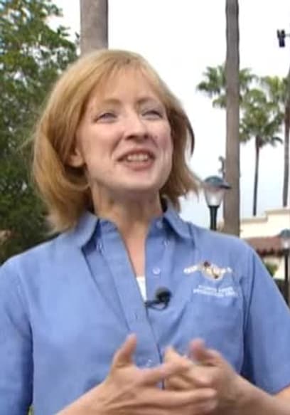 Watch Road Trip S01:E15 - Theme Park Road Trip 1 - Free TV Shows | Tubi