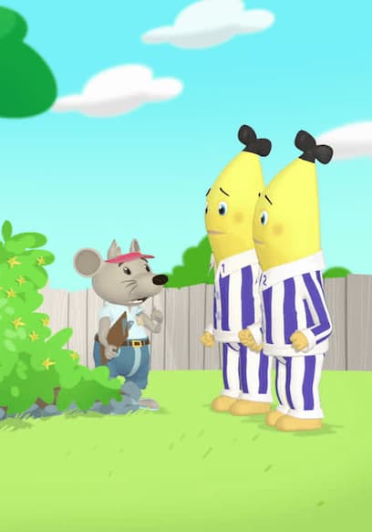 Watch Bananas in Pyjamas Animated Series S02:E41 - The Garden Bananas ...