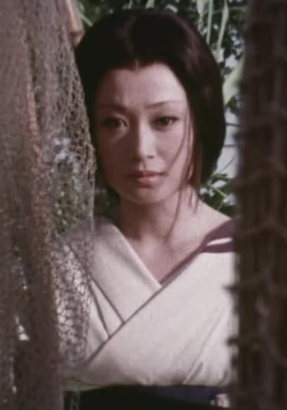 Watch Zatoichi: The Blind Swordsman S01:E09 - Two Zatoichi - Free TV Shows | Tubi