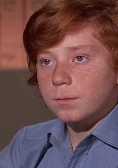 Watch The Partridge Family S01:E24 - A Partridge by Any Other Name ...