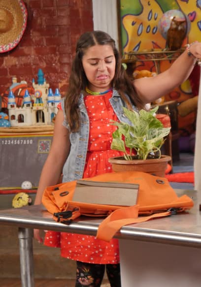 Watch Finding Stuff Out S05:E504 - The Nose Knows - Free TV Shows | Tubi