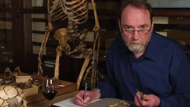 Watch Early Humans S02:E03 - Homo Heidelbergensis: The Mysterious Heidelberg Man - Free TV Shows ...