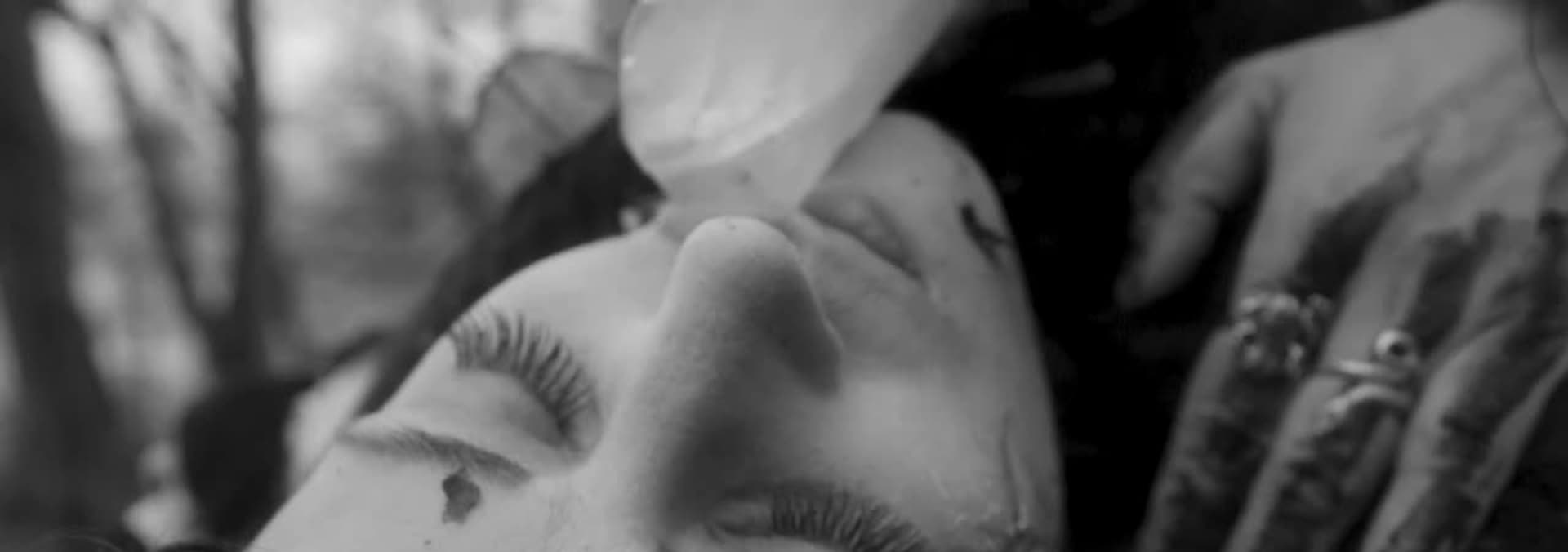 Watch Spit and Ashes Trailer (2020) - Free Movies | Tubi