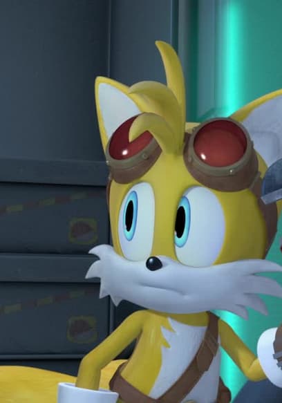 Watch Sonic Boom S01:E21 - Role Models / New Year's Retribution - Free ...