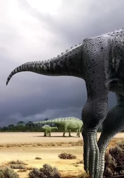 Watch Dinosaur Discovery S02:E03 - A Complete Timeline of Prehistoric ...