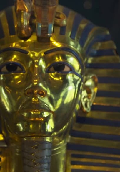 Watch Mysteries at the Museum S13:E08 - King Tut - Free TV Shows | Tubi