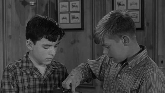 Watch Leave It to Beaver S05:E02 - No Time for Babysitters - Free TV ...