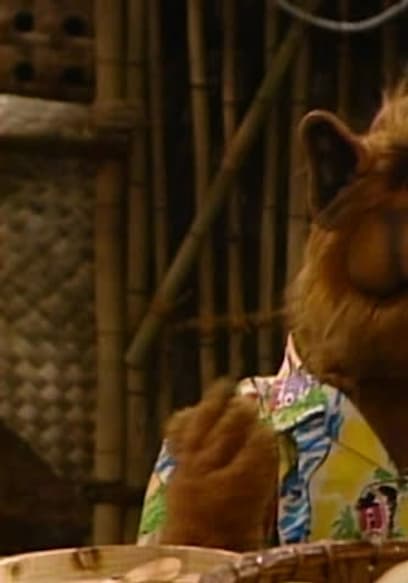 Watch ALF S02:E02 - Somewhere Over The Rerun: The Ballad Of Gilligan's ...
