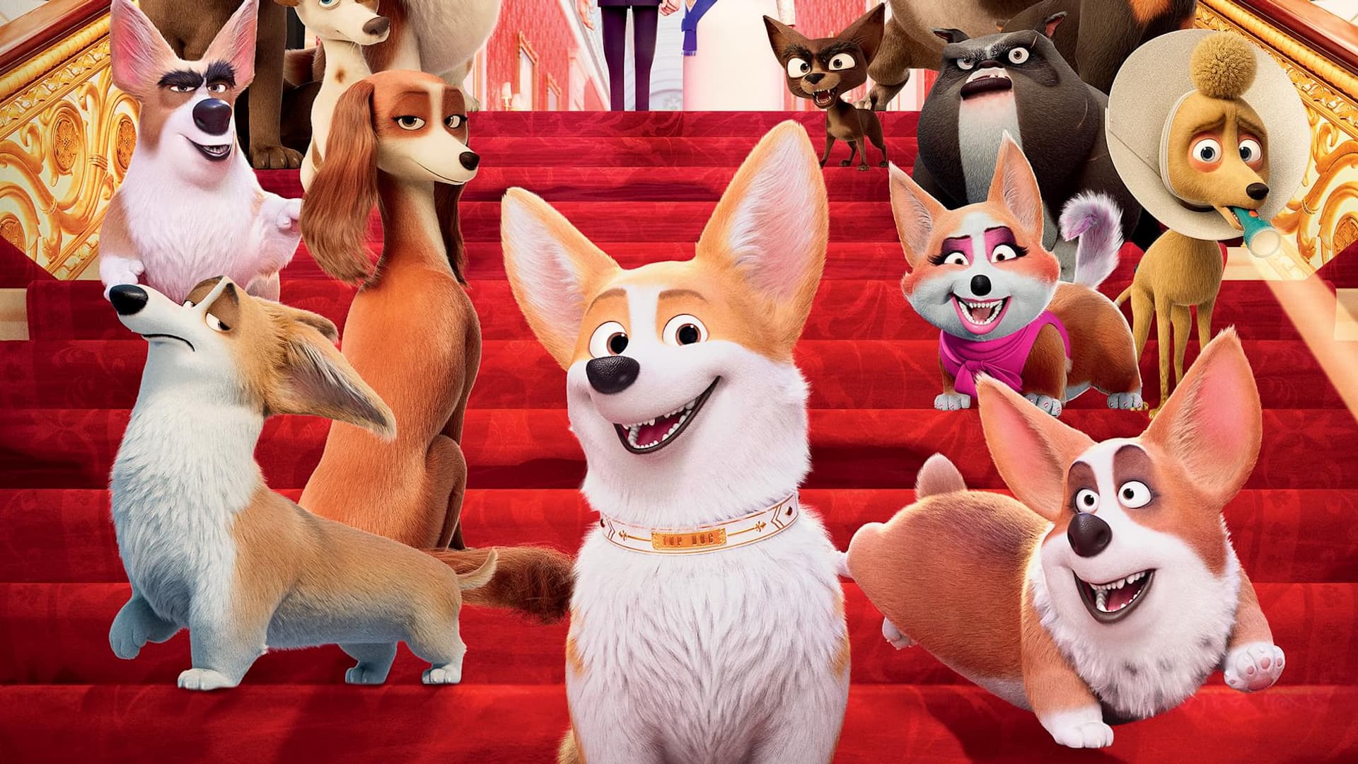 Watch The Queen's Corgi (2019) - Free Movies | Tubi