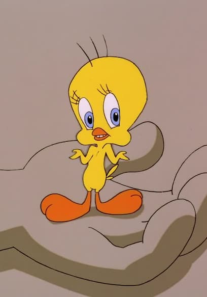 Watch The Sylvester & Tweety Mysteries S02:E02 - Catch as Catch Cannes ...