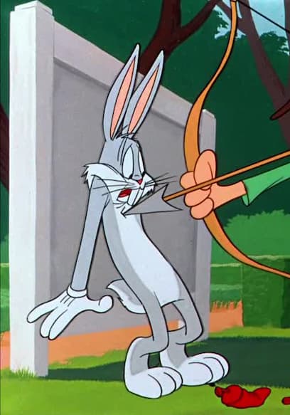 Watch Looney Tunes S08:E06 - Riff Raffy Daffy / The Grey Hounded Hare ...