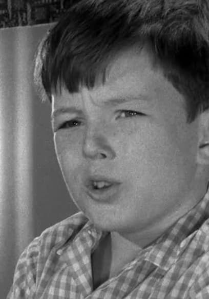 Watch Leave It to Beaver S01:E15 - Party Invitation - Free TV Shows | Tubi