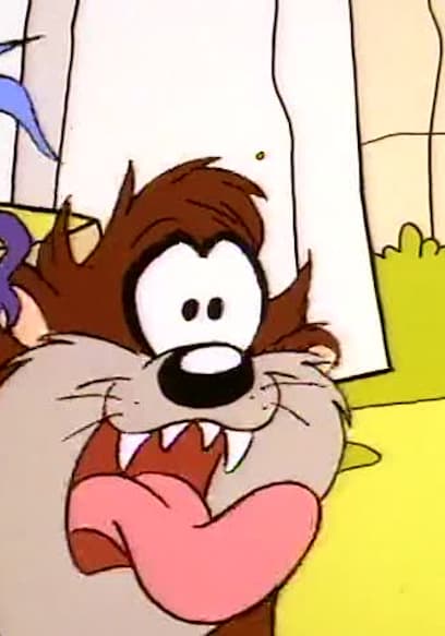 Watch Taz-Mania S01:E04 - It's No Picnic/Kee-Wee Ala King - Free TV ...