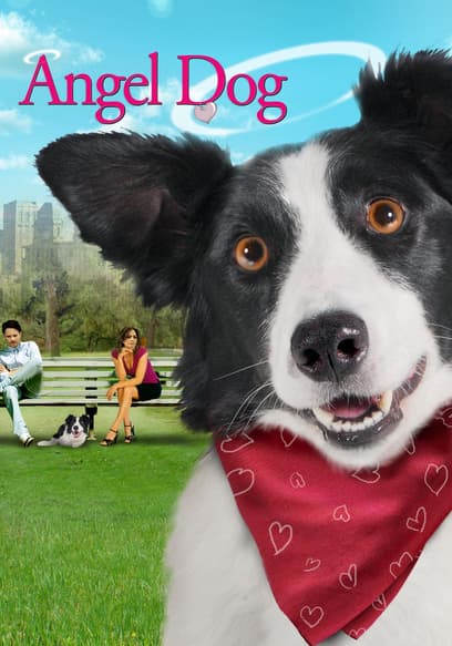 Watch Angel Dog (2011) - Free Movies | Tubi