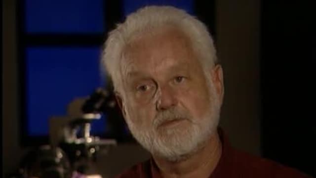 Watch Forensic Files Season 7 - Free TV Shows | Tubi