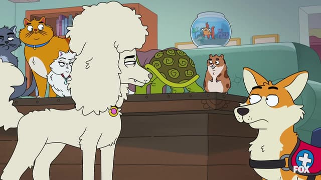 Watch HouseBroken - Free TV Shows | Tubi