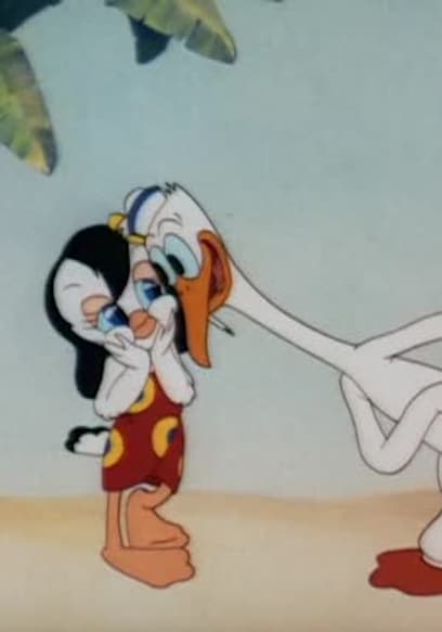 Watch Looney Tunes S11:E16 - Screwball Football / Aloha Hooey / Pappy's ...