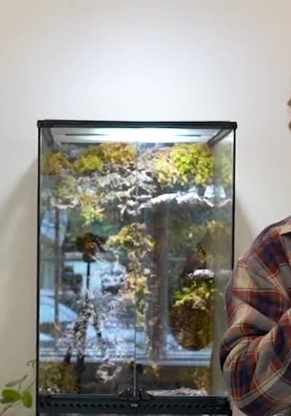 Watch Ryan Trahan S02:E15 - Building an Ecosystem / Mining a Fossil ...