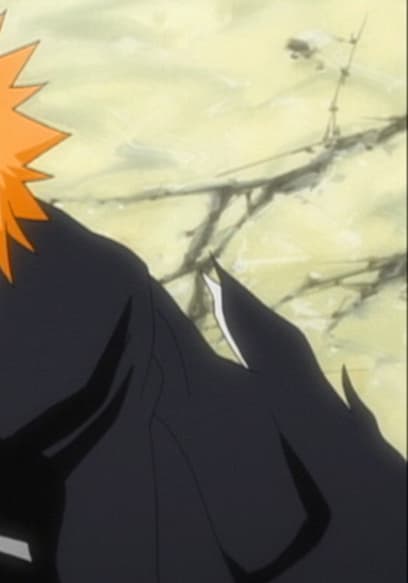 Watch Bleach S17:E13 - Bleach 255 - Free TV Shows | Tubi