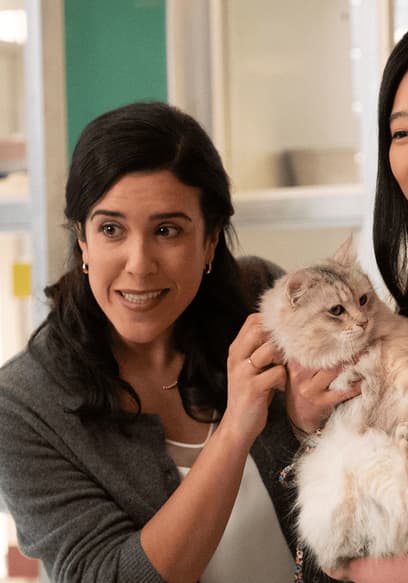 Watch Strays S01:E02 - The Snowball Effect - Free TV Shows | Tubi