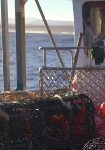 Watch Giant Lobster Hunters S01:E07 - The Competition Heats Up - Free ...