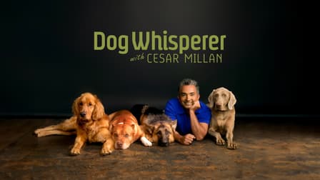Watch Dog Whisperer with Cesar Millan - Free TV Shows | Tubi