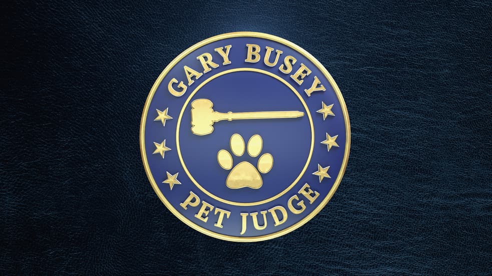 Watch Gary Busey: Pet Judge Streaming Online | Tubi Free TV