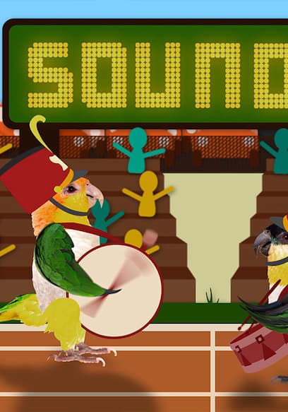 Watch Beats in Bites S01:E06 - Beats Game #1 - Free TV Shows | Tubi