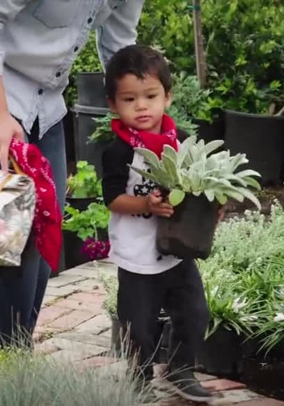 Watch Backyarding S01:E02 - Place It & Plant It - Free TV Shows | Tubi