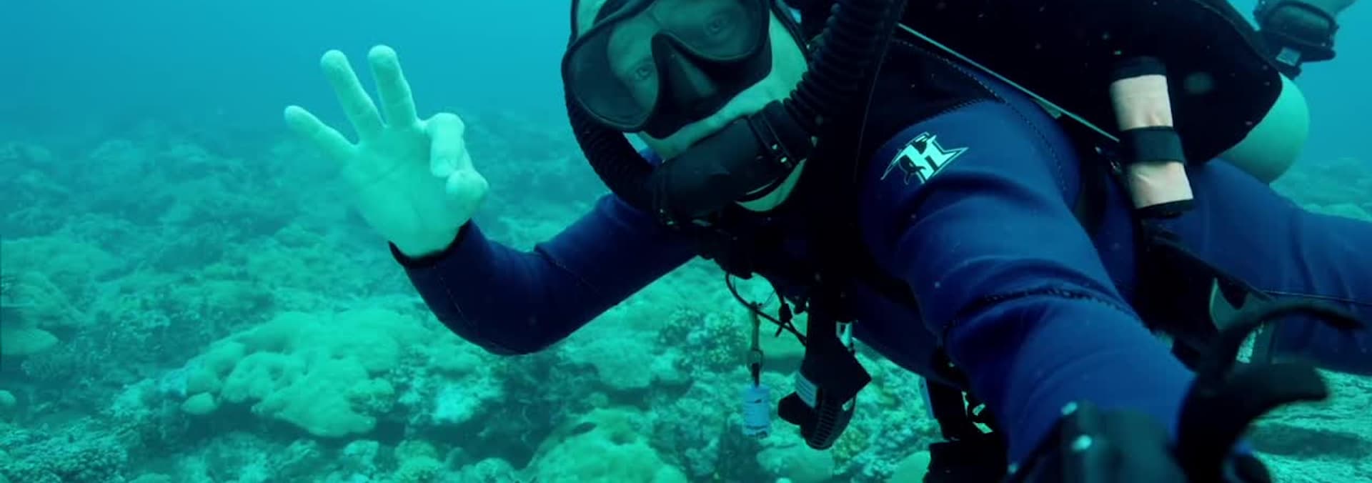 Watch Blue World S07:E08 - Sharks at Palau’s Blue Corner + Ocean Cave ...