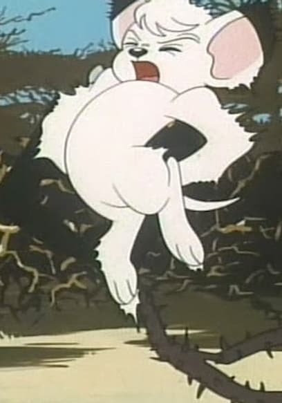 Watch Kimba, the White Lion S01:E02 - The Wind in the Desert - Free TV ...