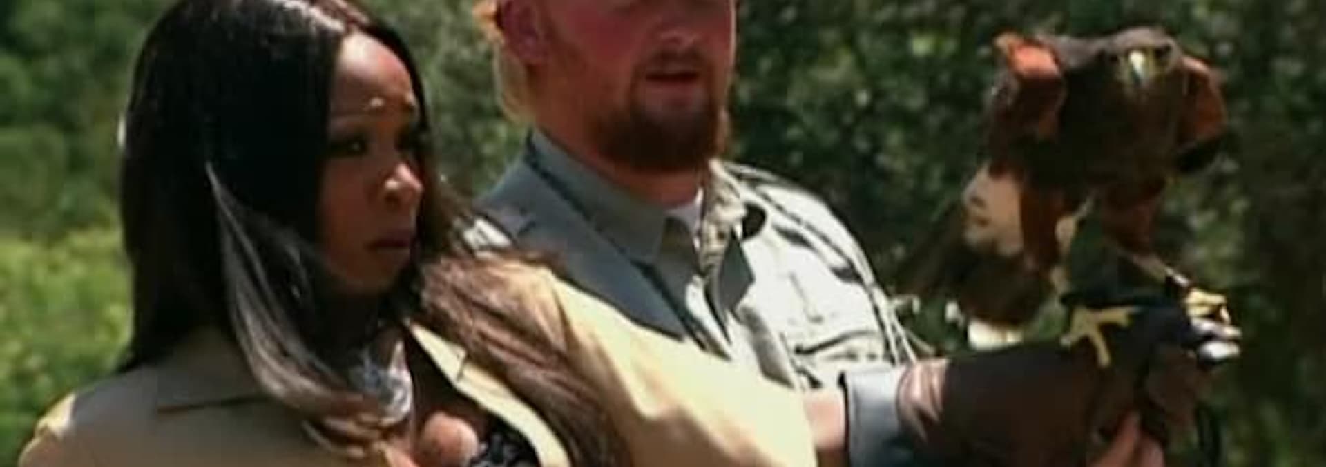 Watch New York Goes to Work S01:E05 - Exotic Animal Trainer - Free TV ...