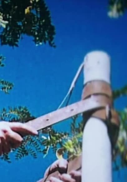 Watch That Chapter S10:E14 - The Strange Case of Randy Baker - Free TV ...