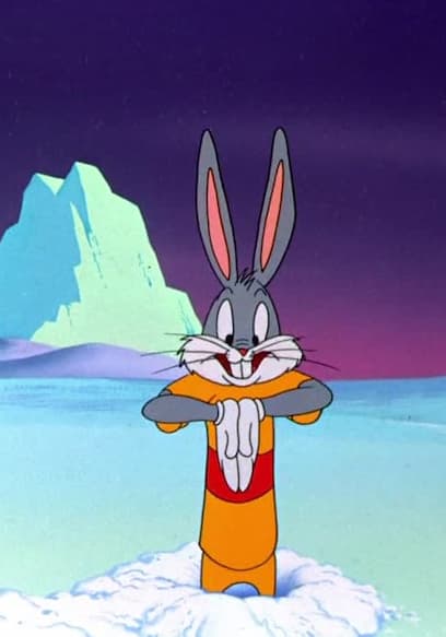 Watch Looney Tunes S09 E14 Hare Do Frigid Hare Fast And Furry Ous