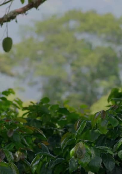 Watch Hermanitas Calle S01:E40 - Capítulo 40 - Free TV Shows | Tubi