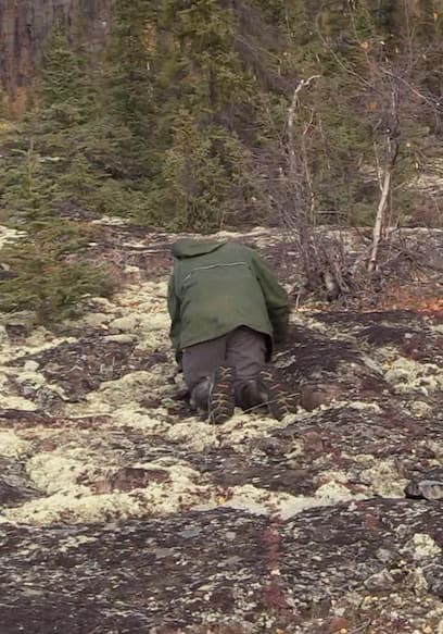 Watch Alone S06:E04 - The Moose - Free TV Shows | Tubi